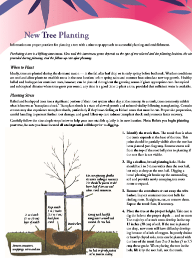New Tree Planting [PUB] - South Carolina LTAP Center