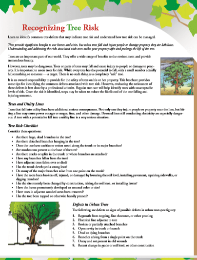 Recognizing Tree Hazards [PUB] - South Carolina LTAP Center